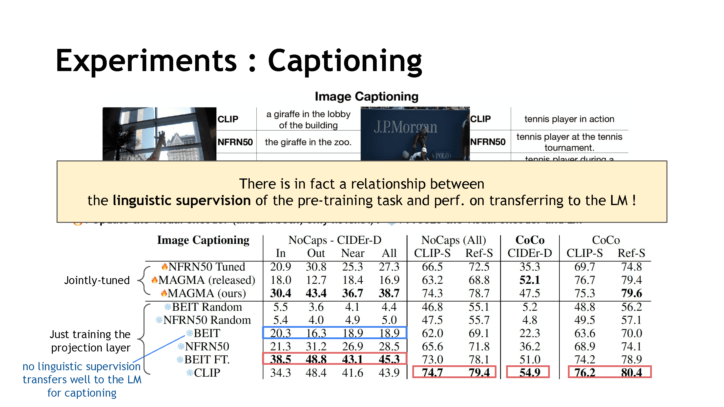 Linearly Mapping from Image to Text Space